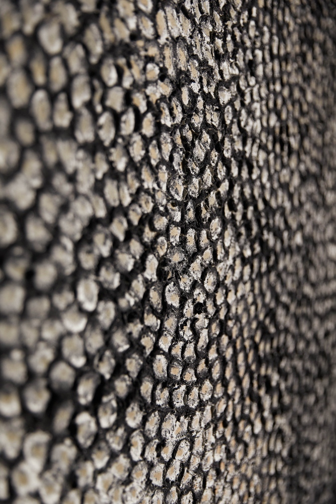 Expanded Fields Series #2: Raukura Turei -AWNZ